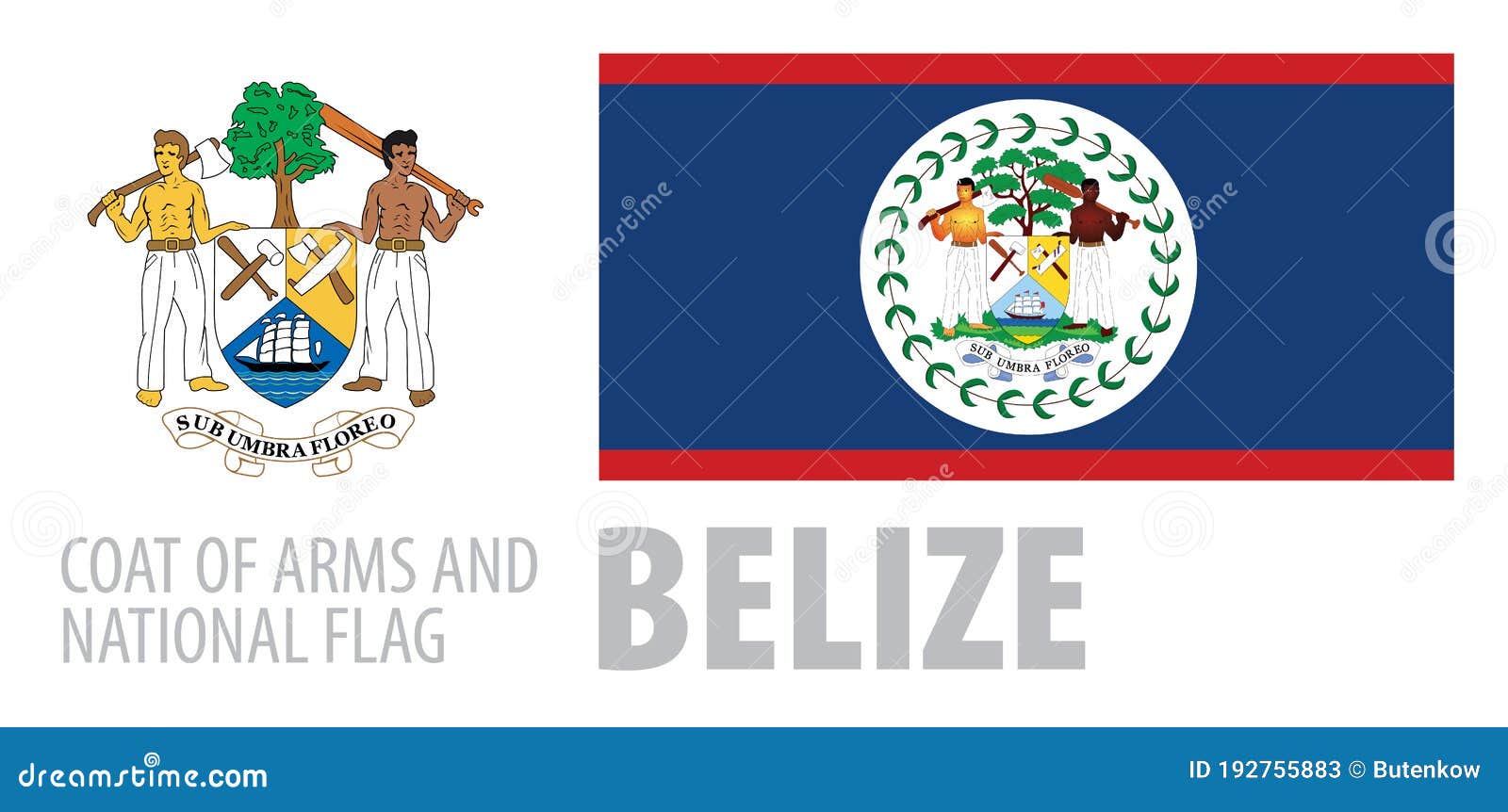Vector Set of the Coat of Arms and National Flag of Belize Stock Vector ...