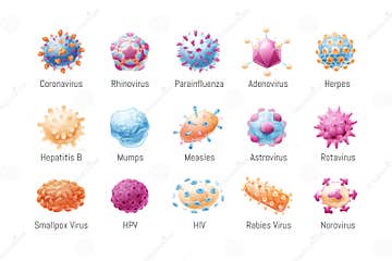 Vector Set of Common Viruses. Models of Pathogens Stock Vector ...