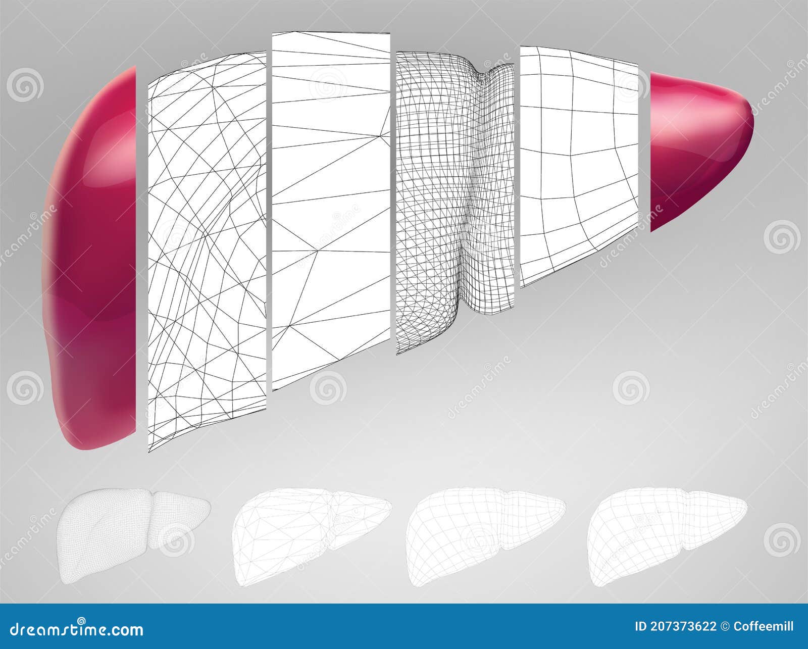 Vector Set of 3d Images of Human Liver Stock Vector - Illustration of ...