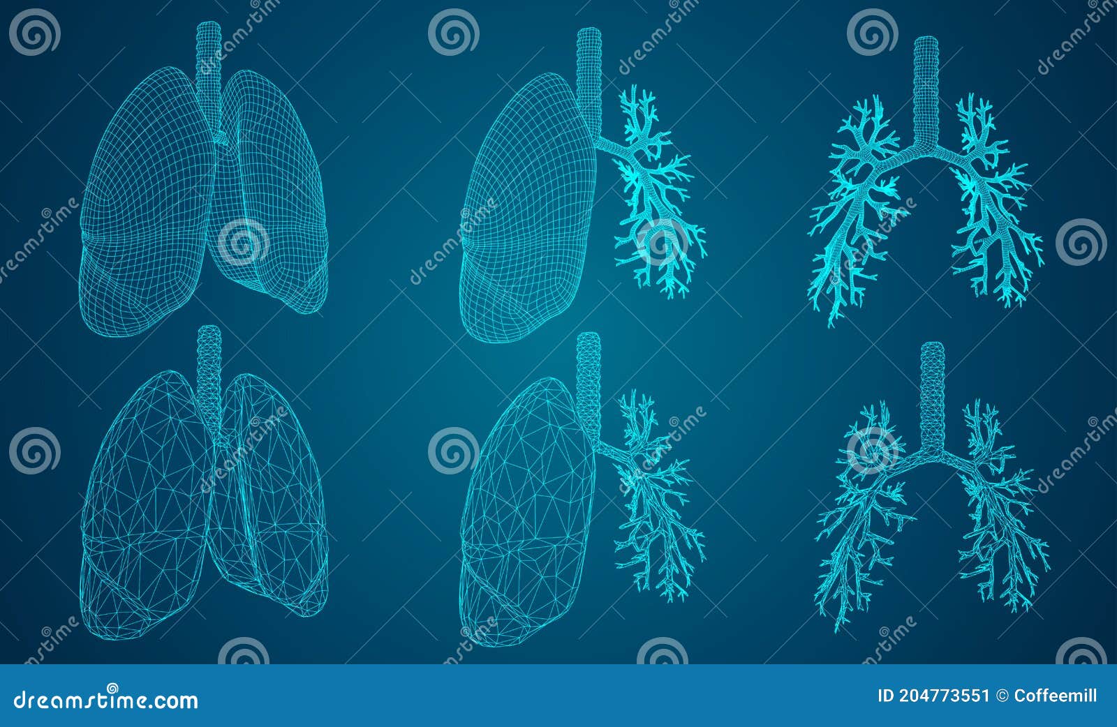 Bronchus. Medical Illustration Depicting Respiratory Cilia And Mucus ...