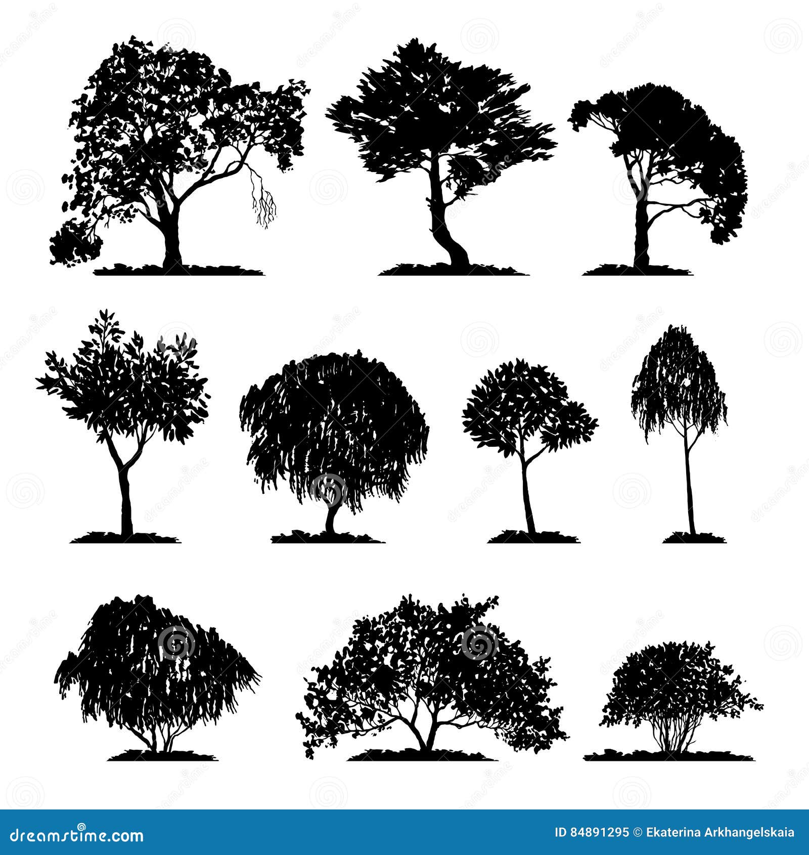 Vector Set of Deciduous Trees Stock Vector - Illustration of ...