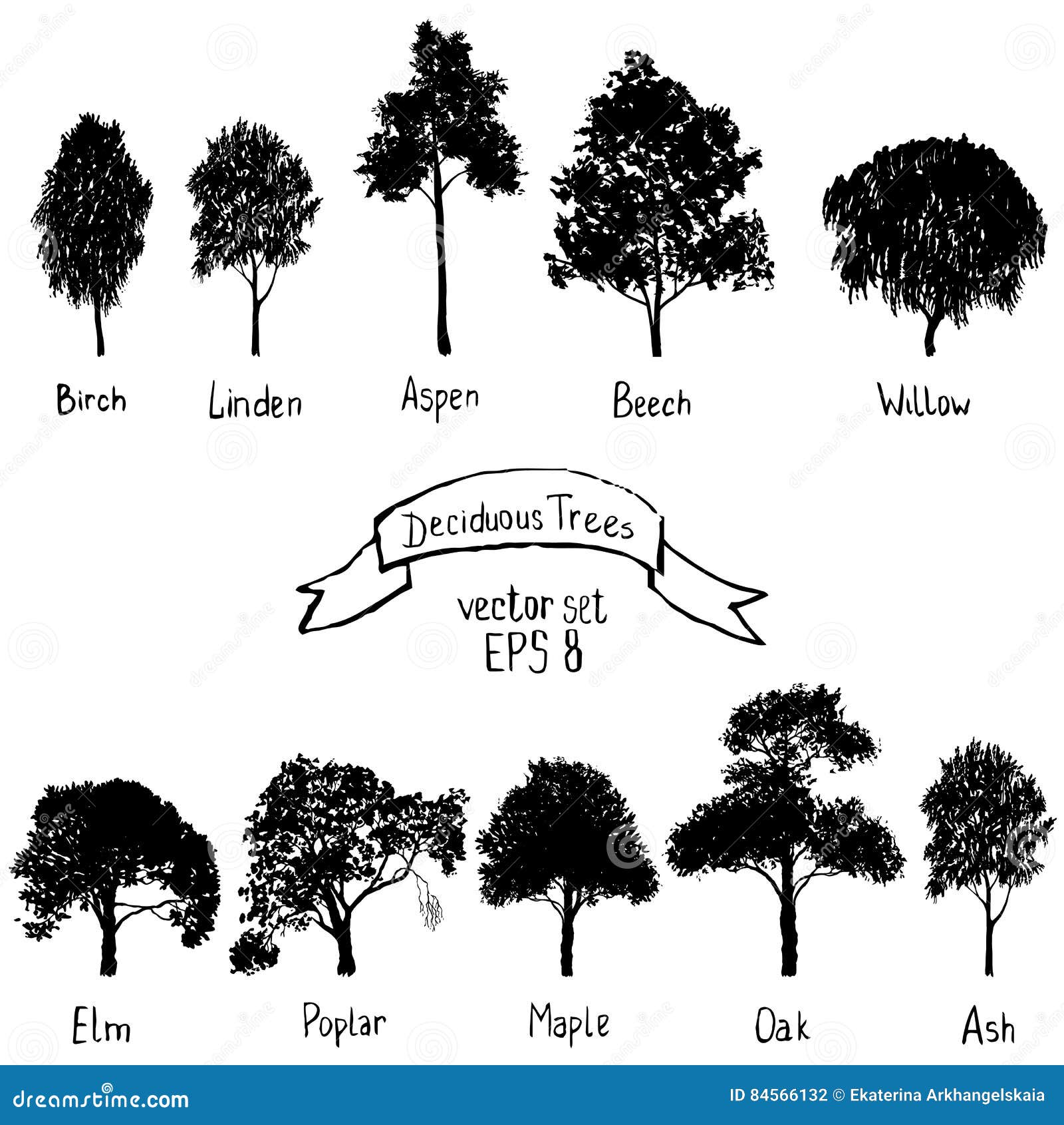 Vector Set of Deciduous Trees Stock Vector - Illustration of deciduous ...
