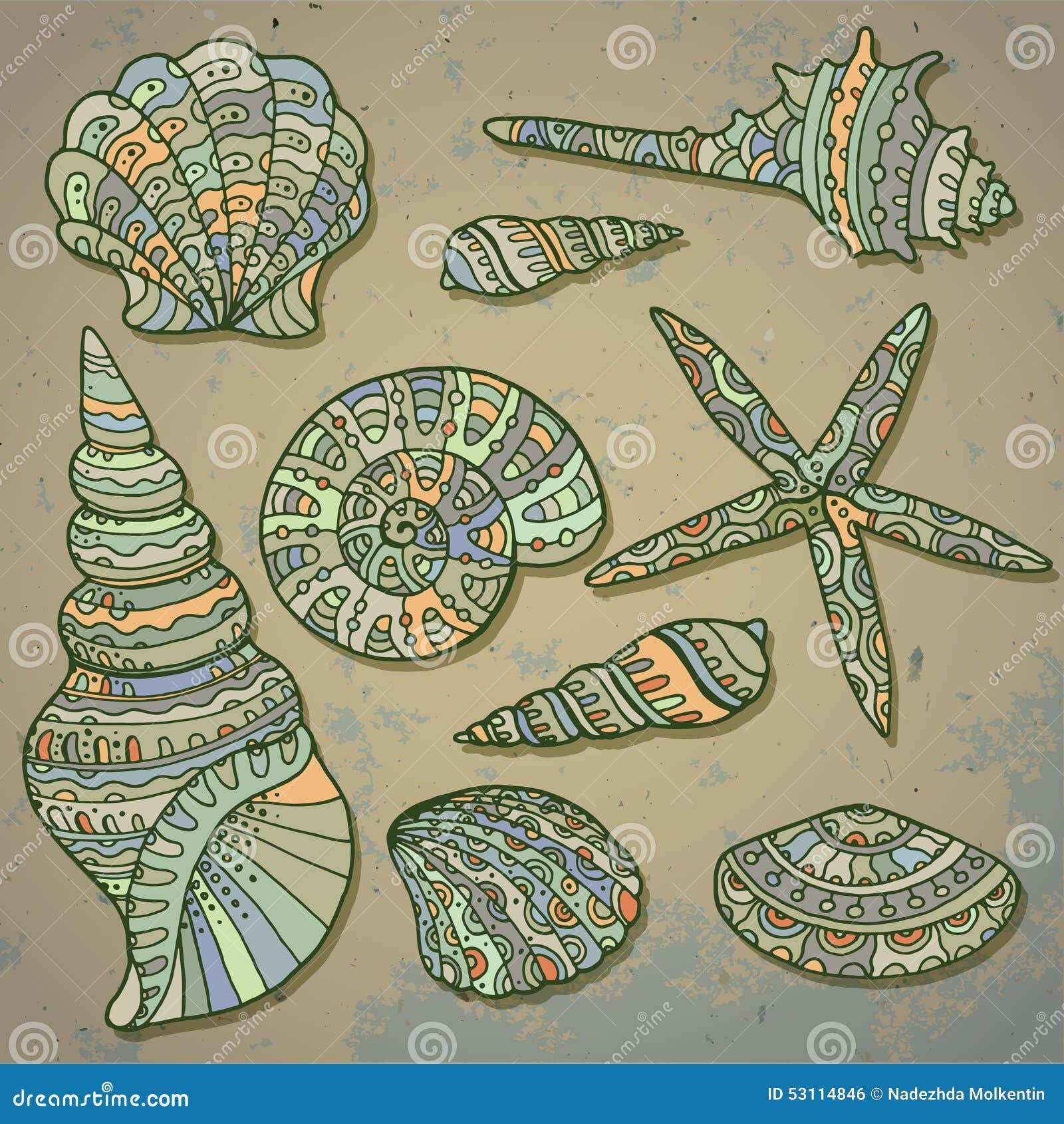 Vector Set of Decorative Seashells Stock Vector - Illustration of fauna ...