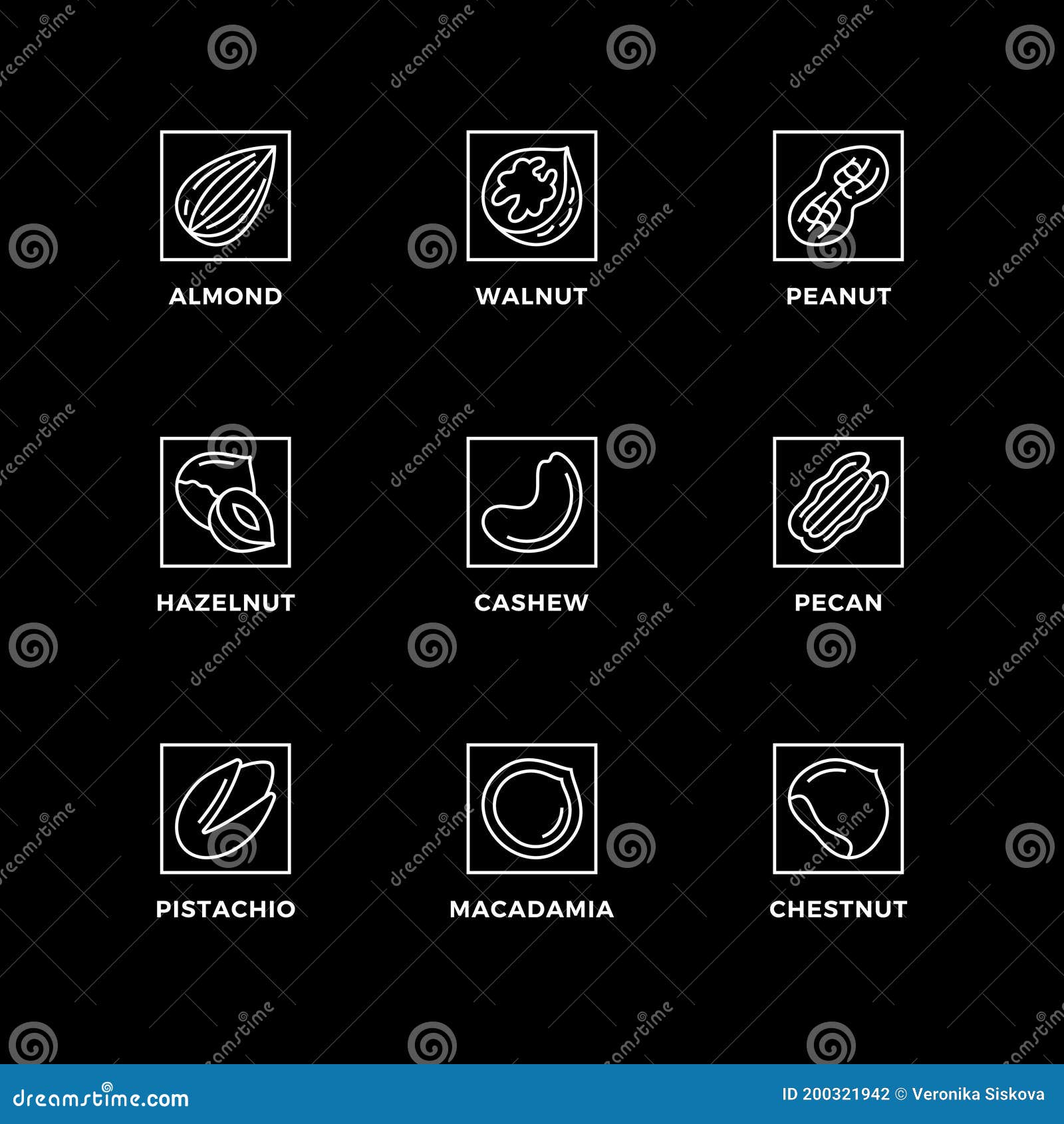 Vector Set of Icons for Nuts Stock Vector - Illustration of icon, diet ...
