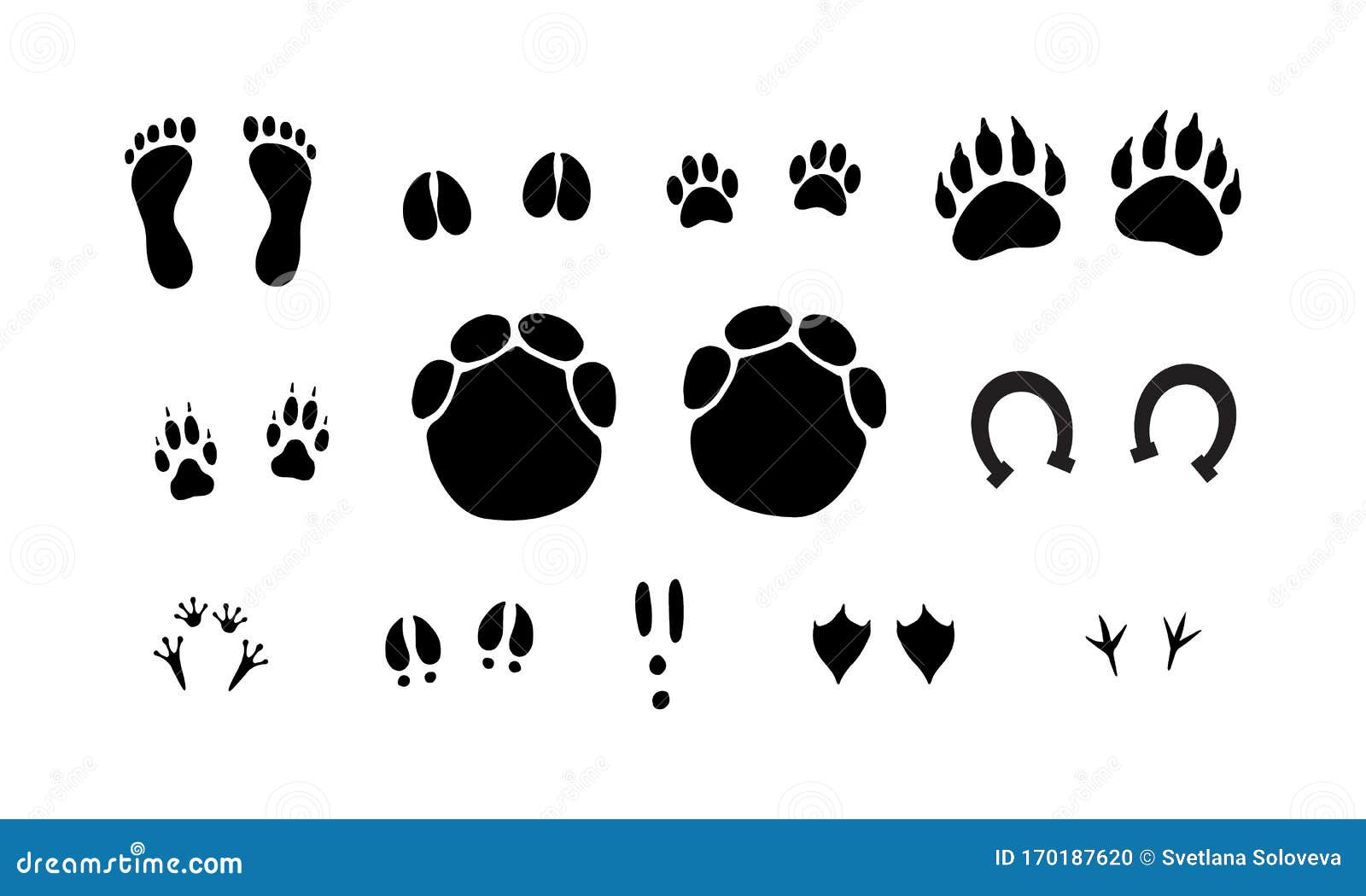 Animals Foot Marks. Animal Footprint, Animals Paw Silhouettes, Bear ...