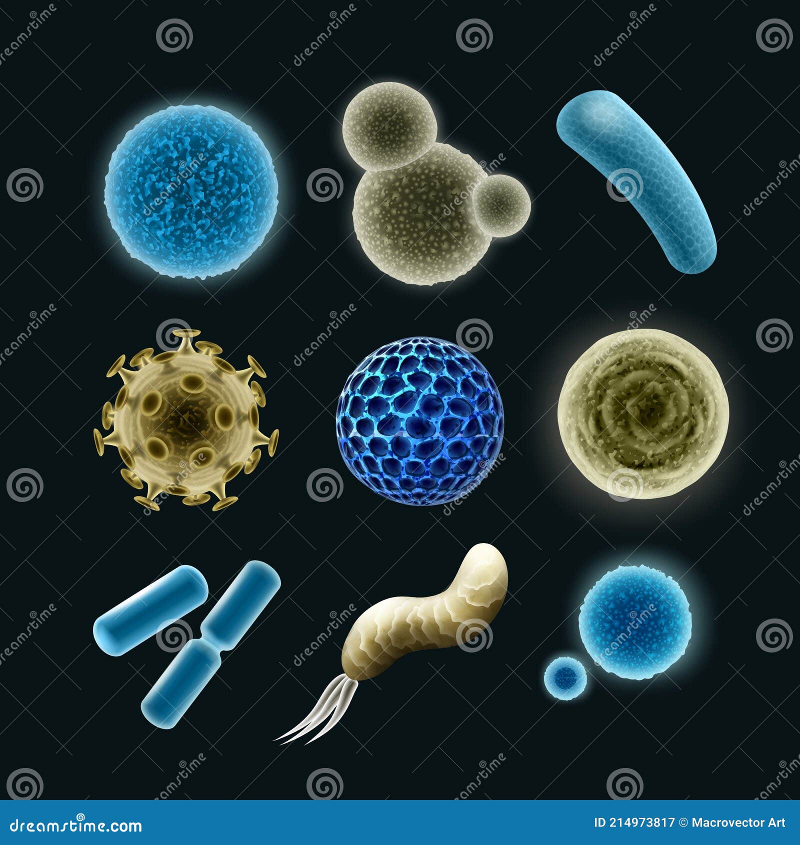 Diplobacillus Bacteria