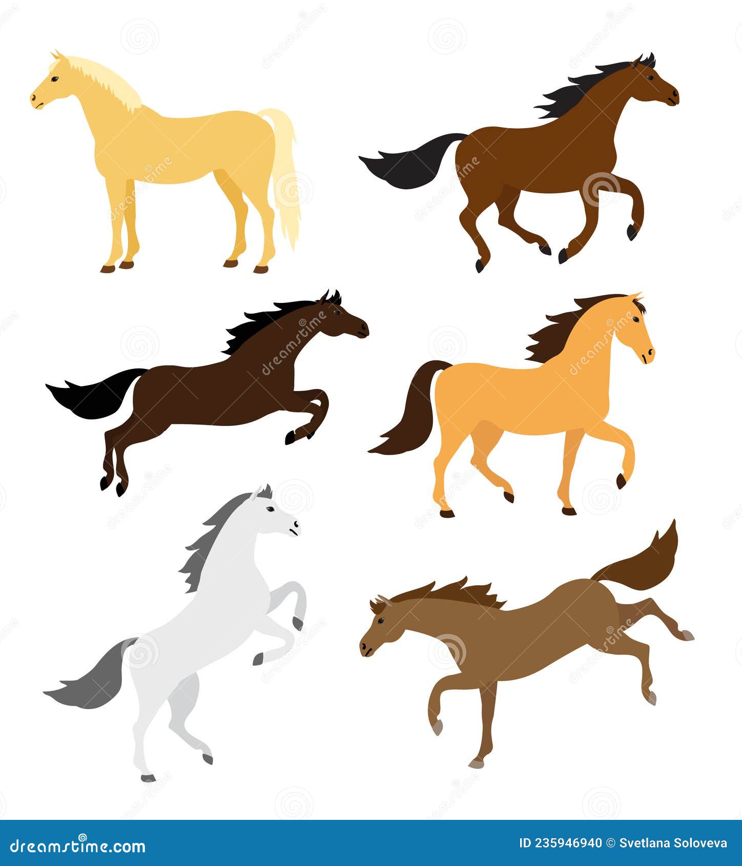 Horse Poses. Wild Horses Walking Or Gallop Running Pose, Arabian Mare ...