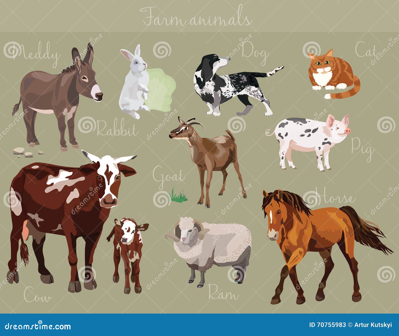 Vector Set of Different Farm Animals Vector Illustration Stock Vector ...