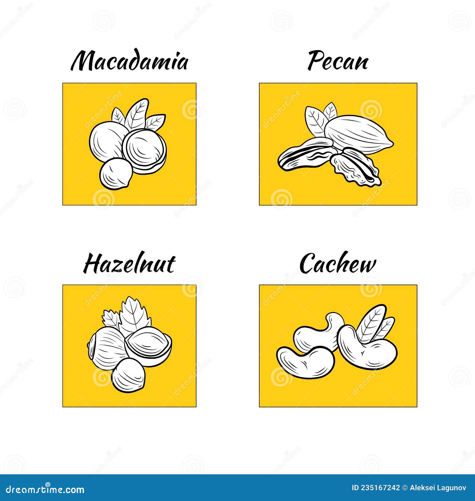 Vector Set of Different Nuts Illustrations on Bright Yellow Background ...