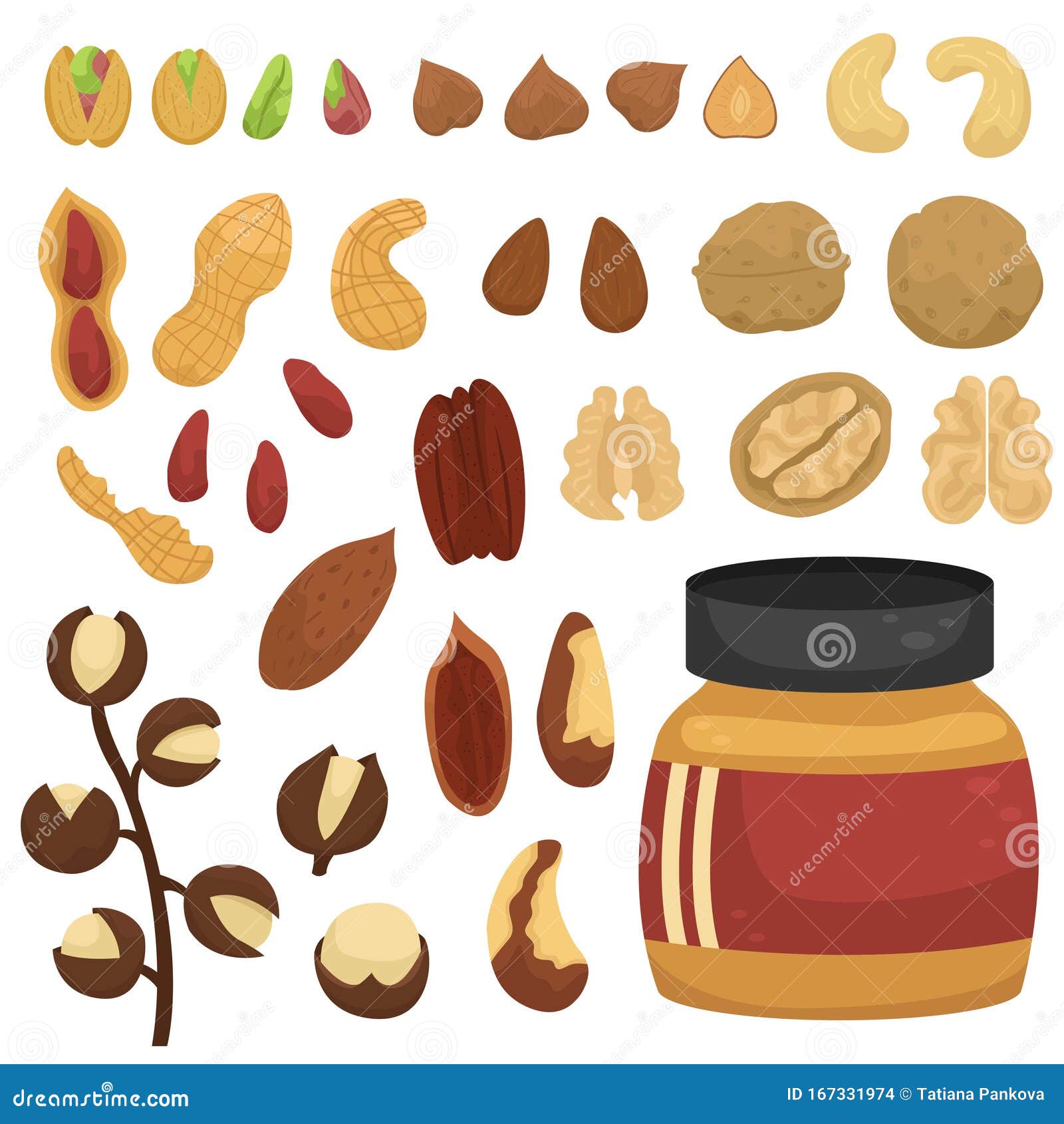 Vector Set of Different Nuts and Jars of Nut Paste Stock Vector ...