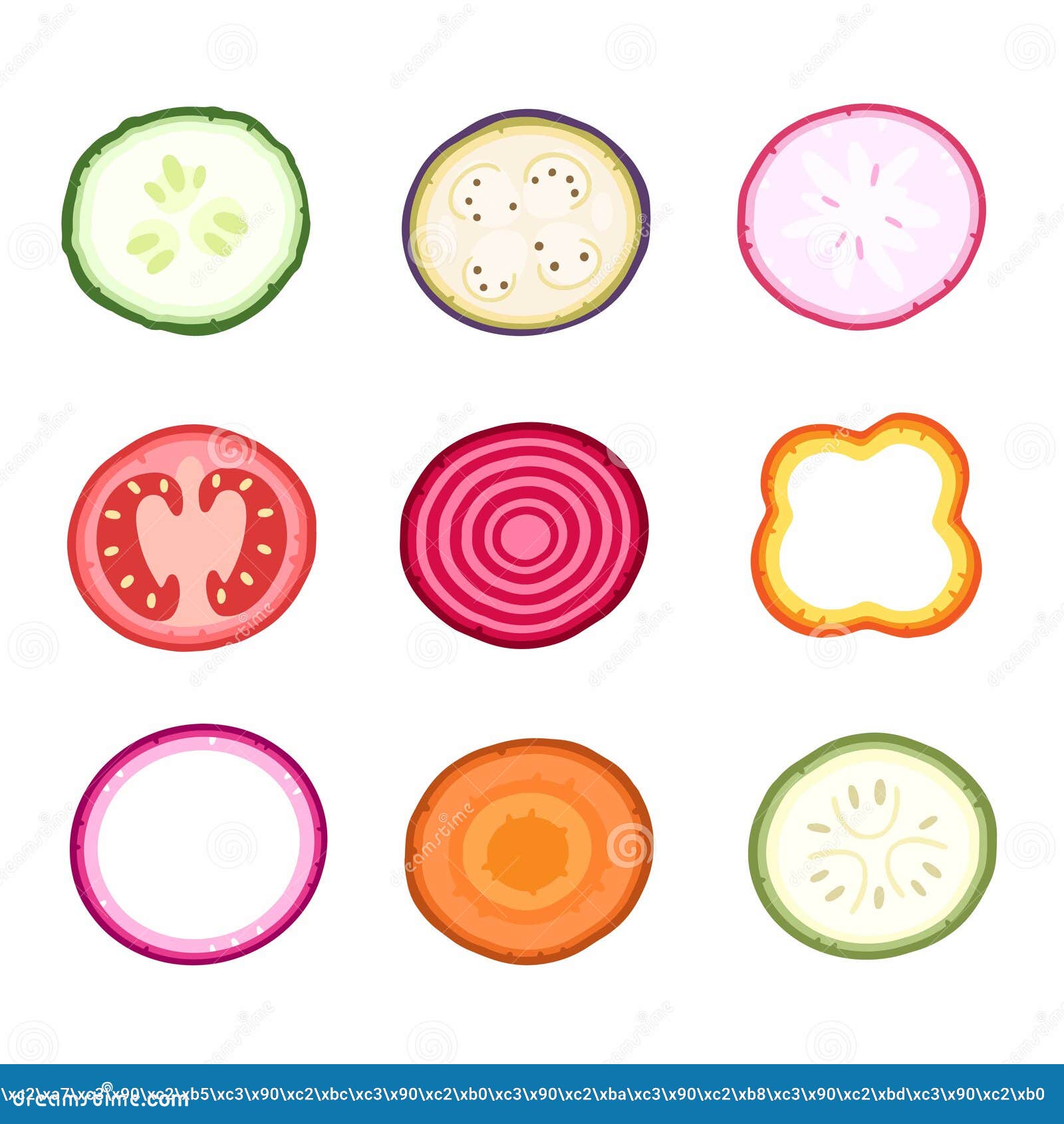 Vector Set of Different Slices of Vegetables. Vector Illustration of ...
