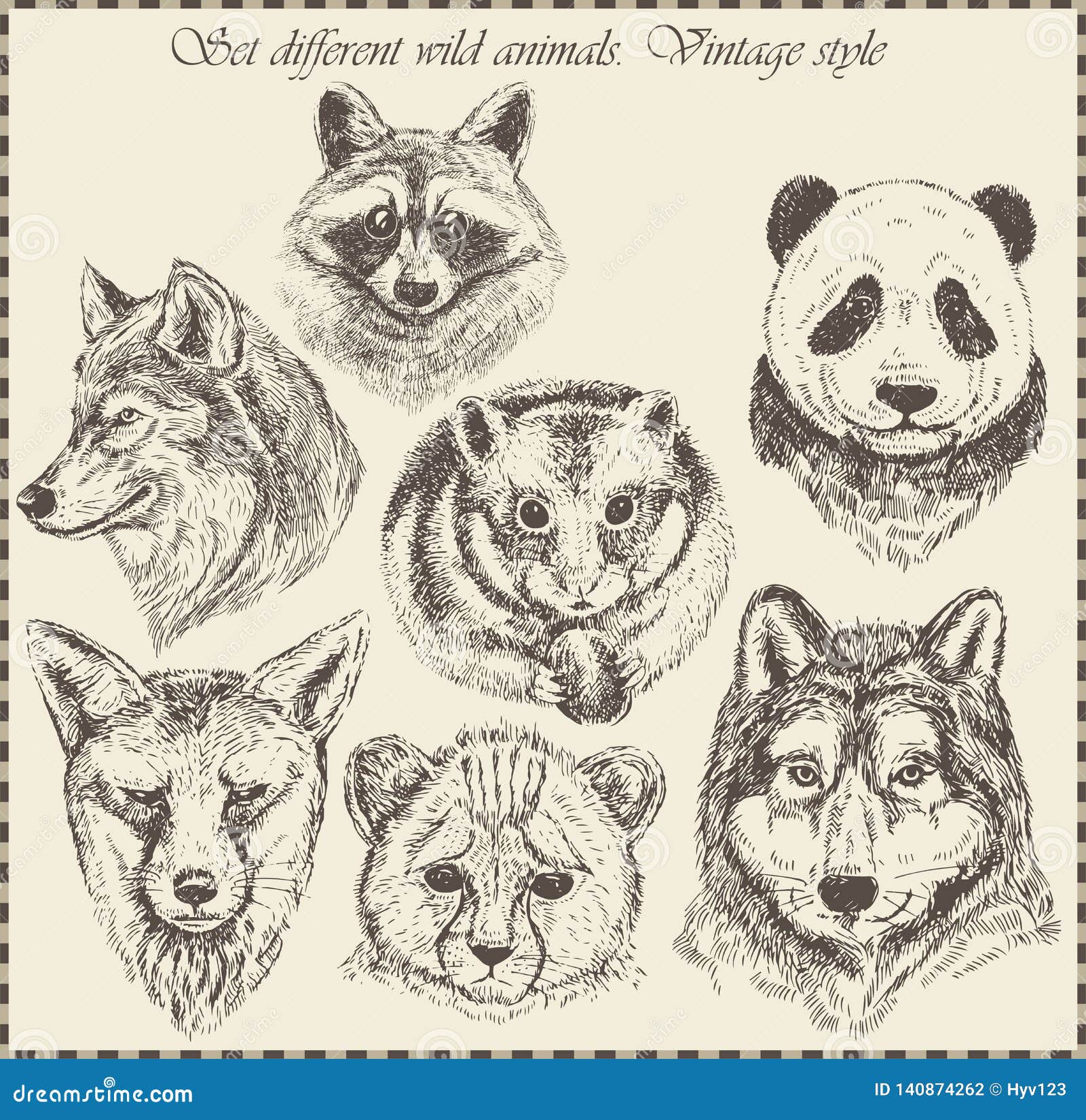 Vector Set: Different Wild Animals Stock Illustration - Illustration of ...