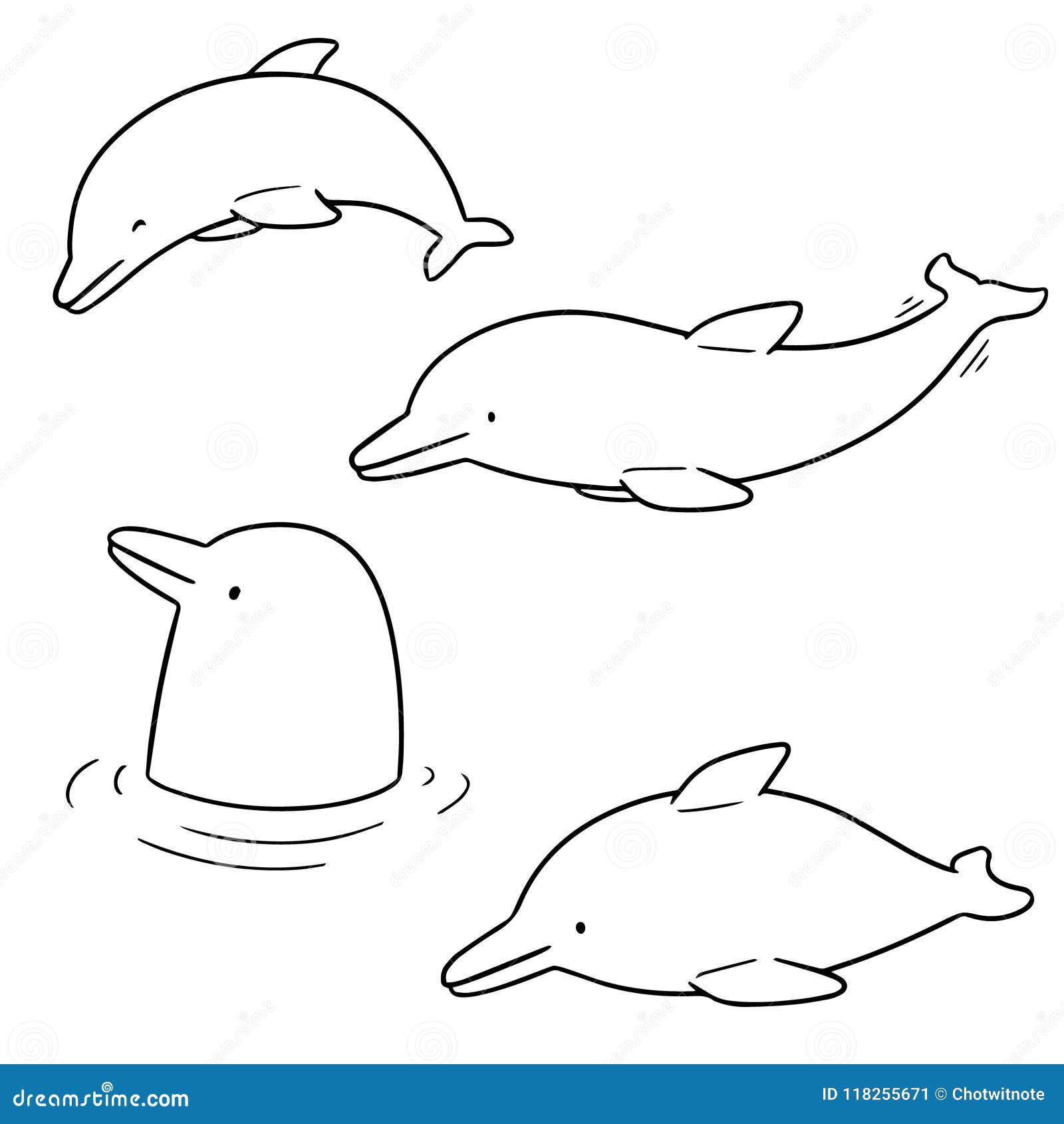 Vector set of dolphin stock vector. Illustration of collection - 118255671