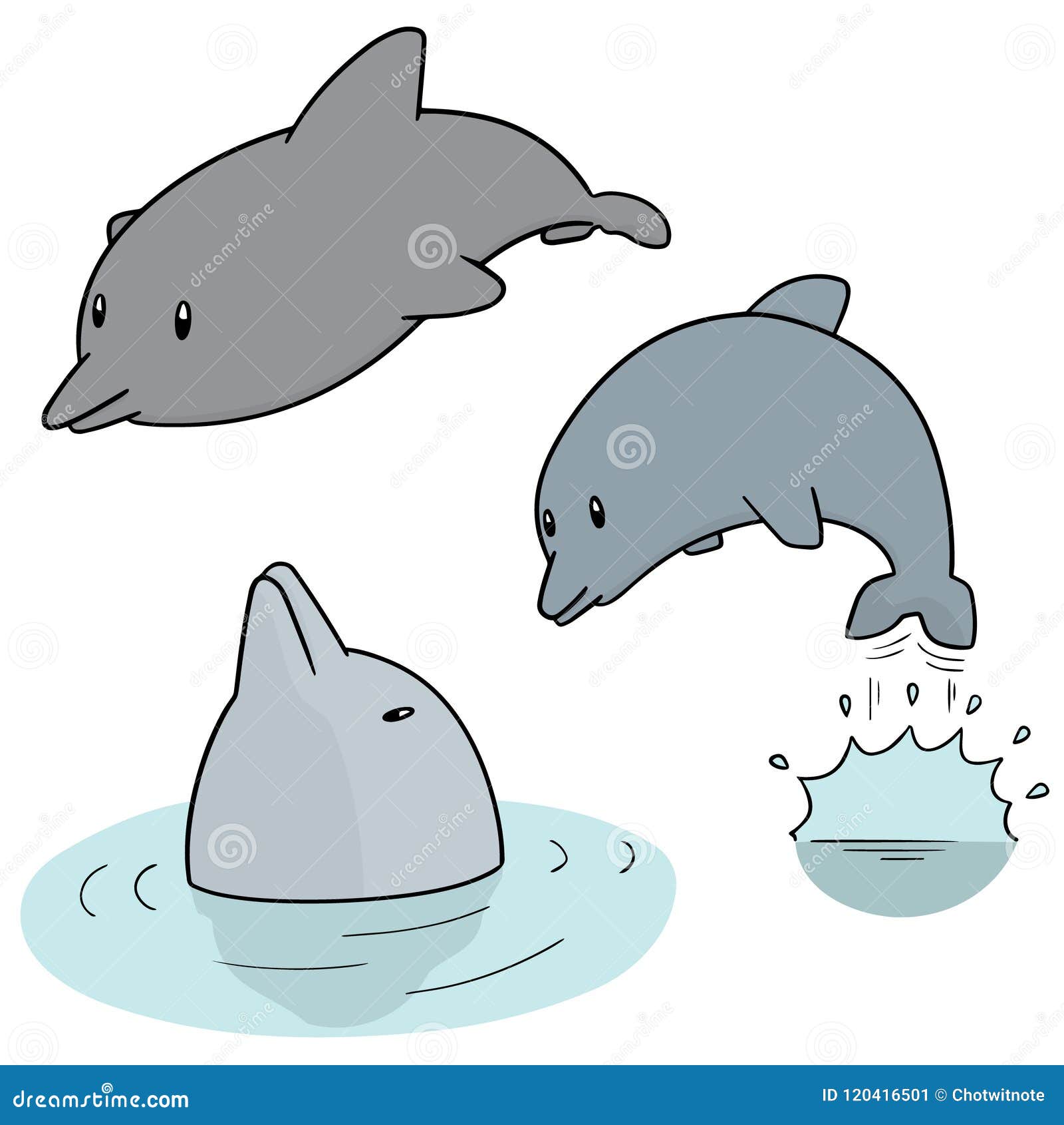 Vector set of dolphin stock vector. Illustration of fish - 120416501