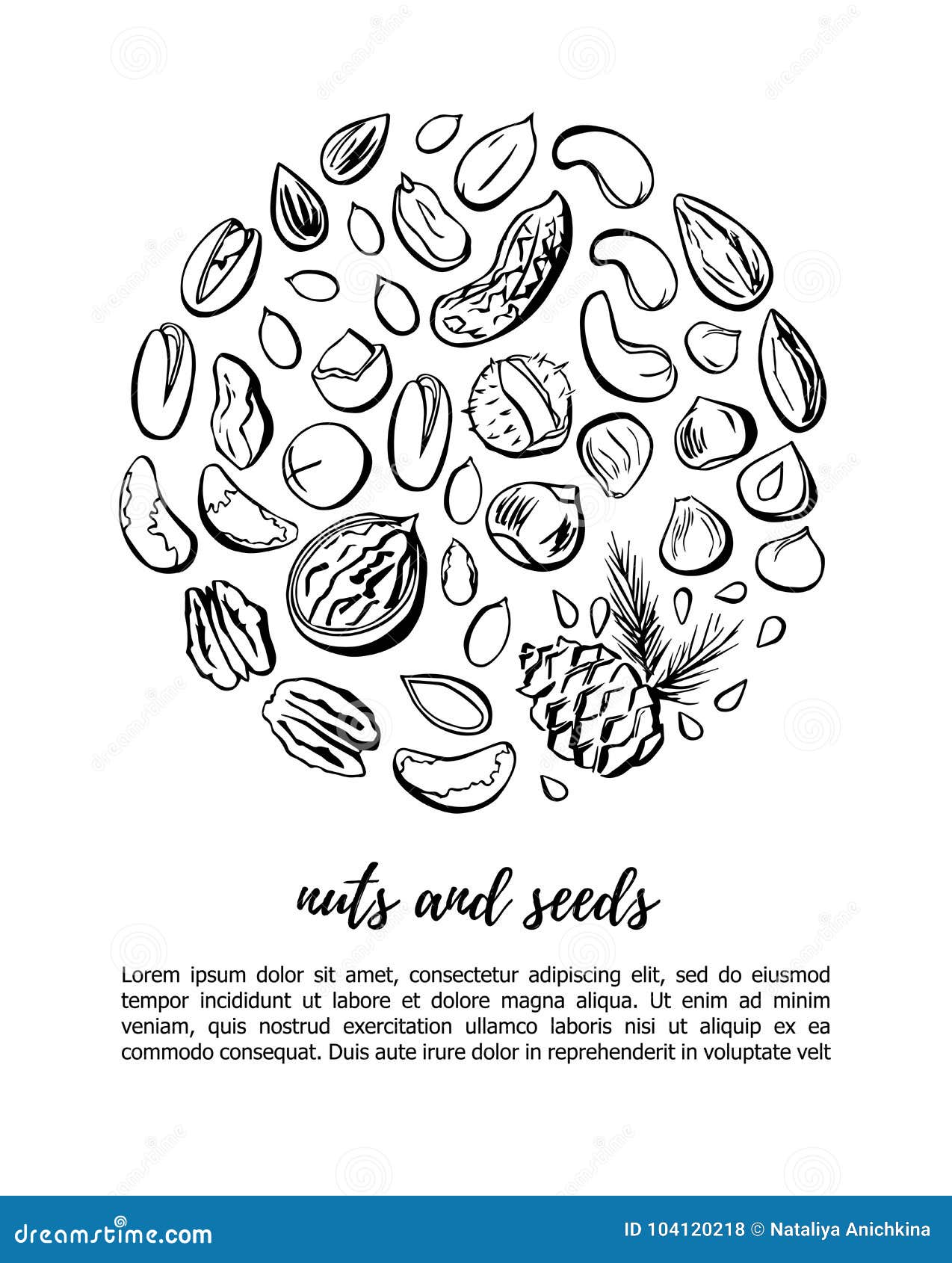 Vector Set of Doodle Nuts and Seeds in Circle Composition Stock Vector ...