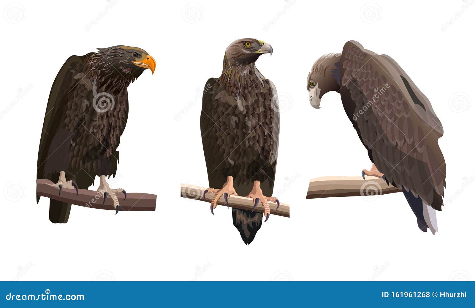 Vector Set with Eagles, Vector in Realistic Style Stock Vector ...