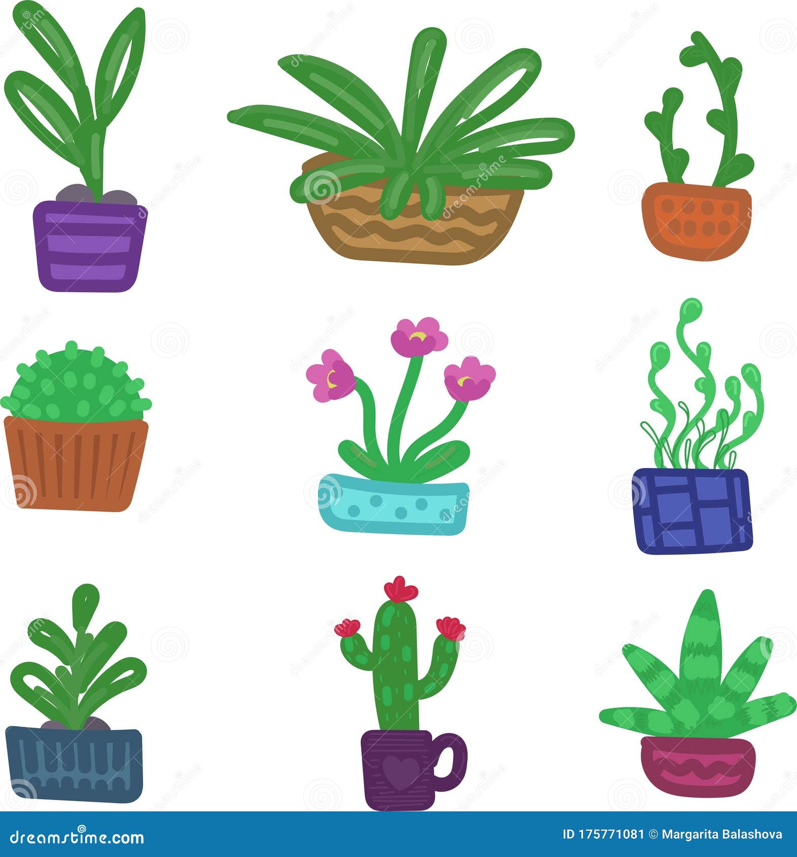 Primitive Plants, Calamites A. Branch, B. Fruiting Spike, Vintage ...