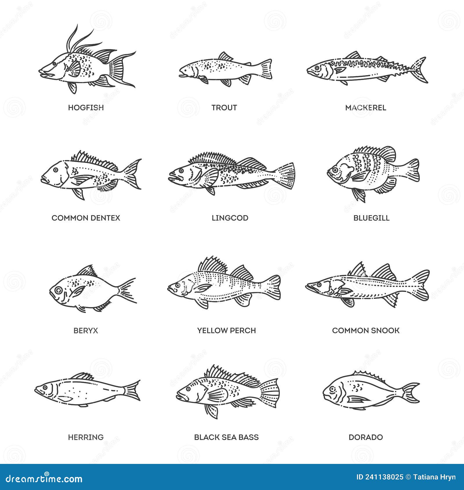 Vector Set Of Fish. Types Marine, Ocean Fish And Freshwater Fish ...