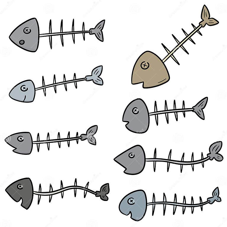 Vector set of fishbone stock vector. Illustration of food - 144520512