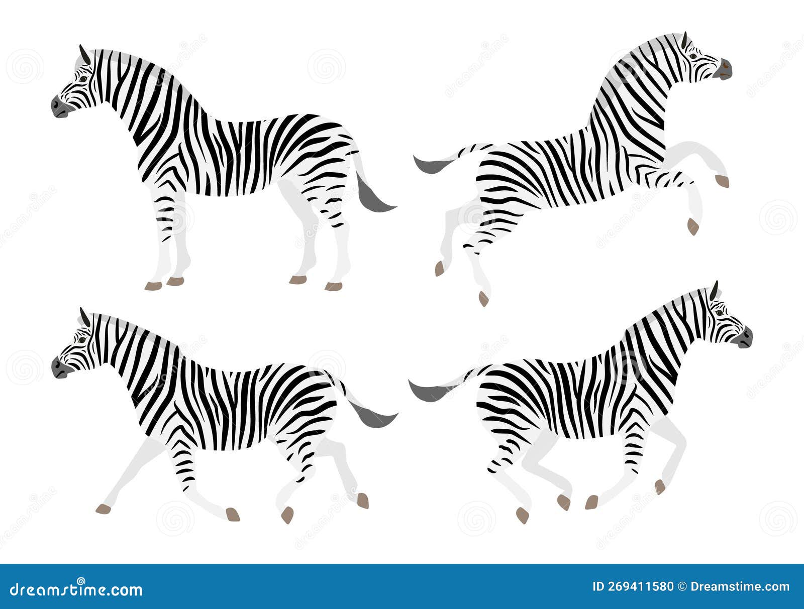 Vector Set of Flat Hand Drawn Zebra Stock Vector - Illustration of ...