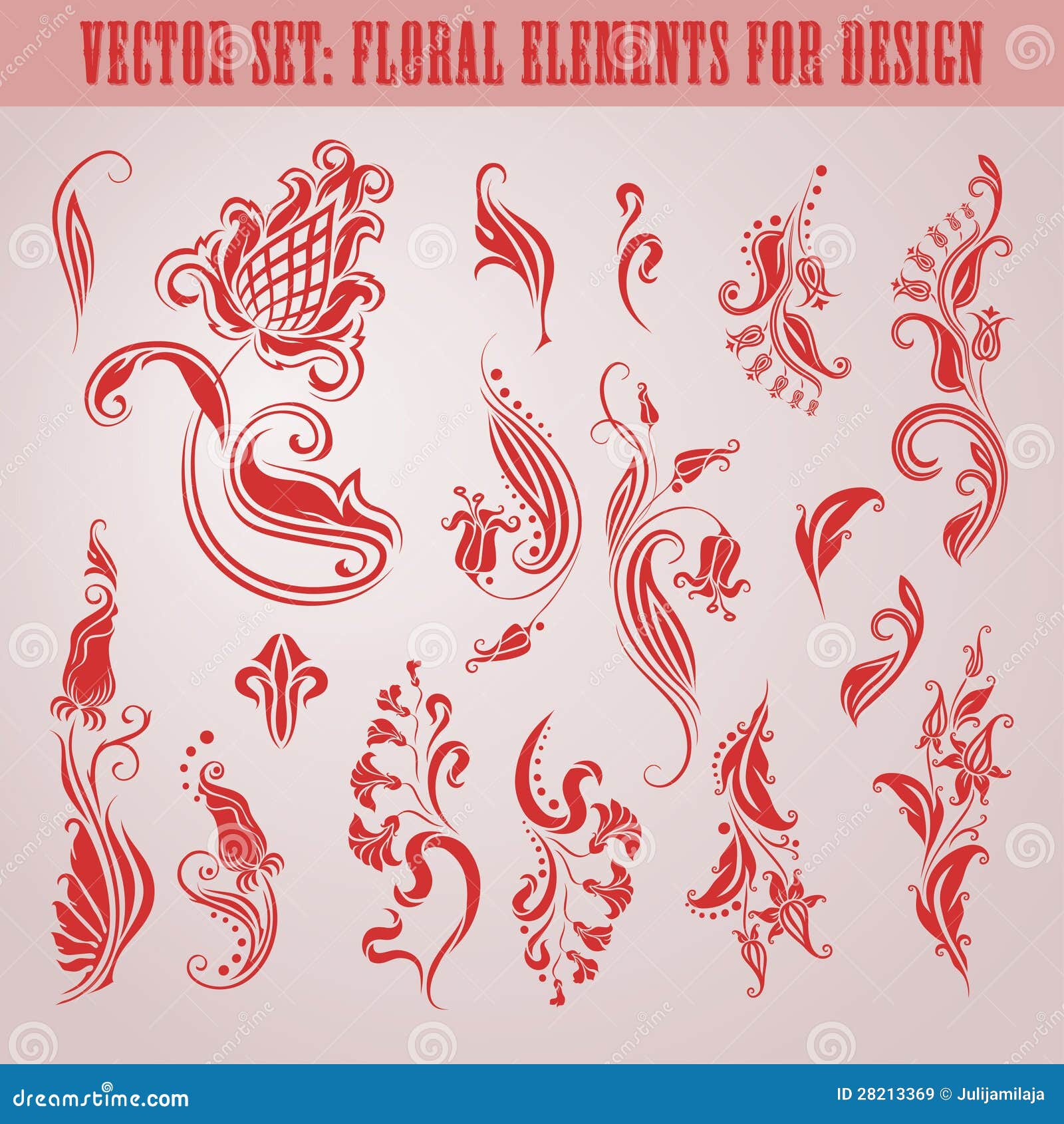 Vector Set of Floral Elements Stock Vector - Illustration of foliate ...