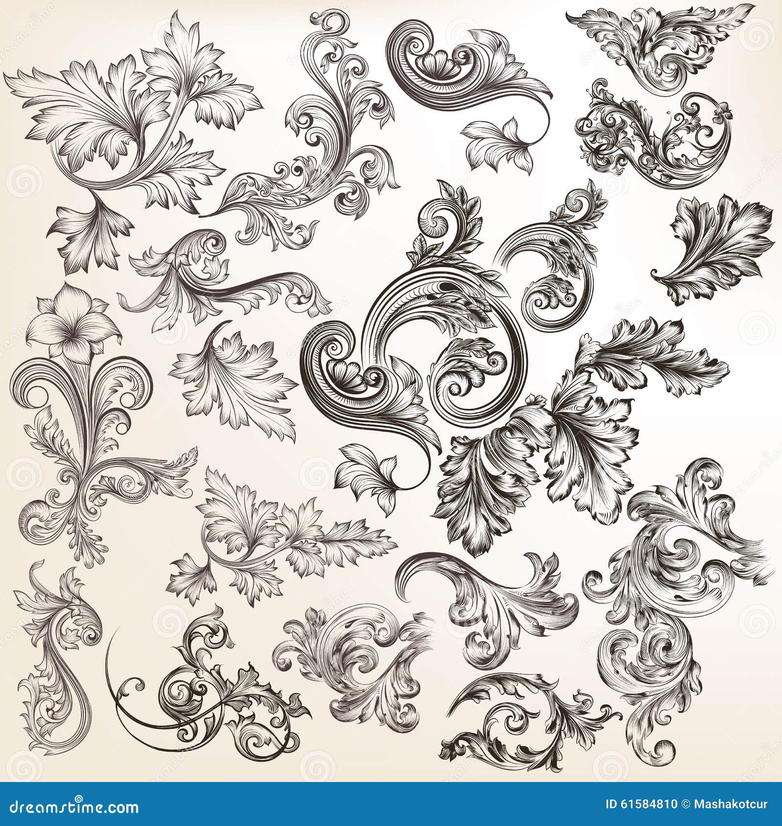 Vector Set of Floral Elements for Design. Calligraphic Vector Stock ...