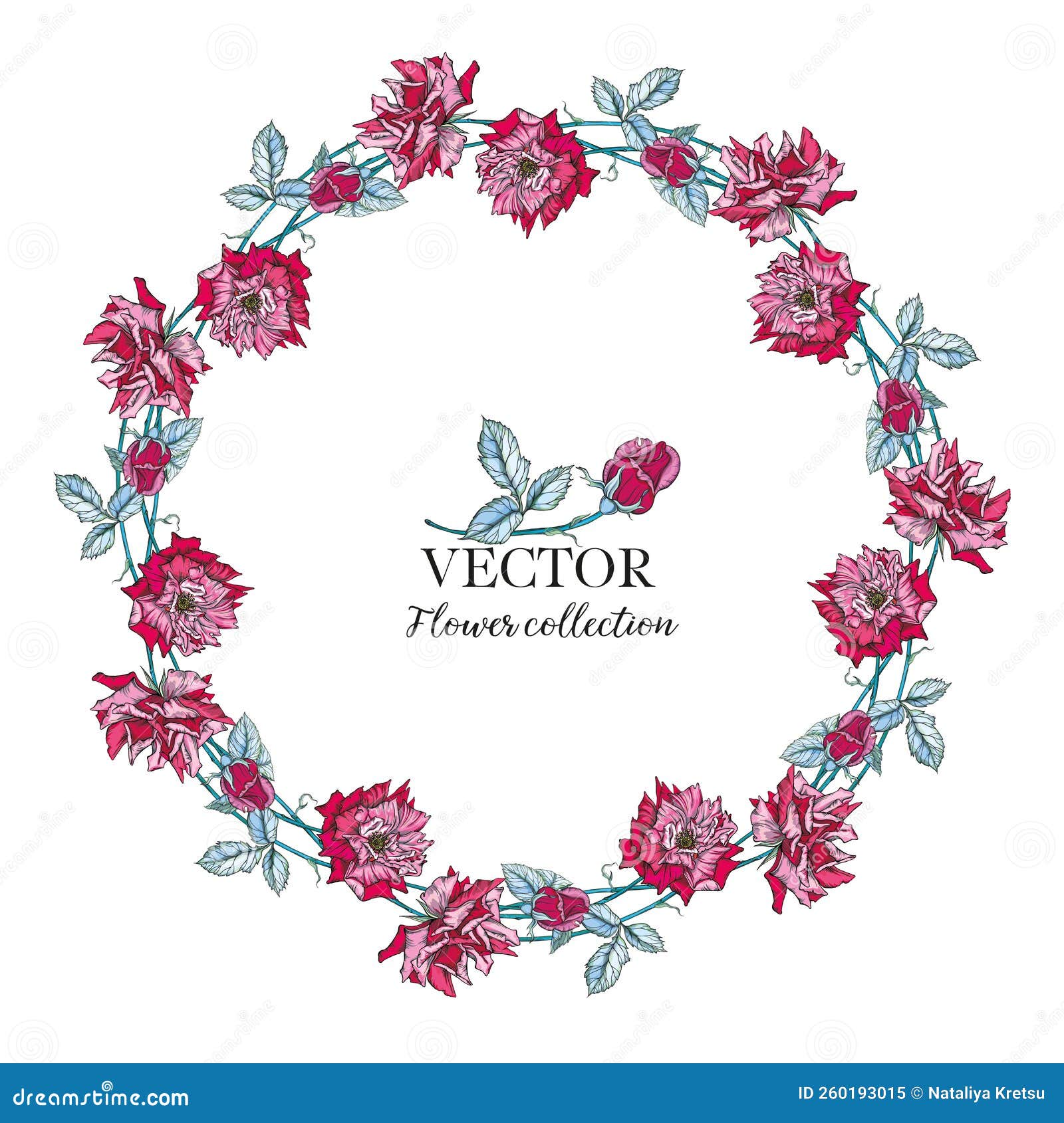 Vector Set of Flower Compositions. Rose Flowers Stock Vector ...