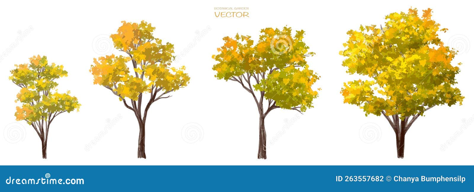 Vector Set of Flower Tree Side View Isolated on White Background for ...