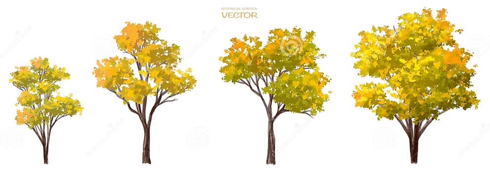 Vector Set of Flower Tree Side View Isolated on White Background for ...