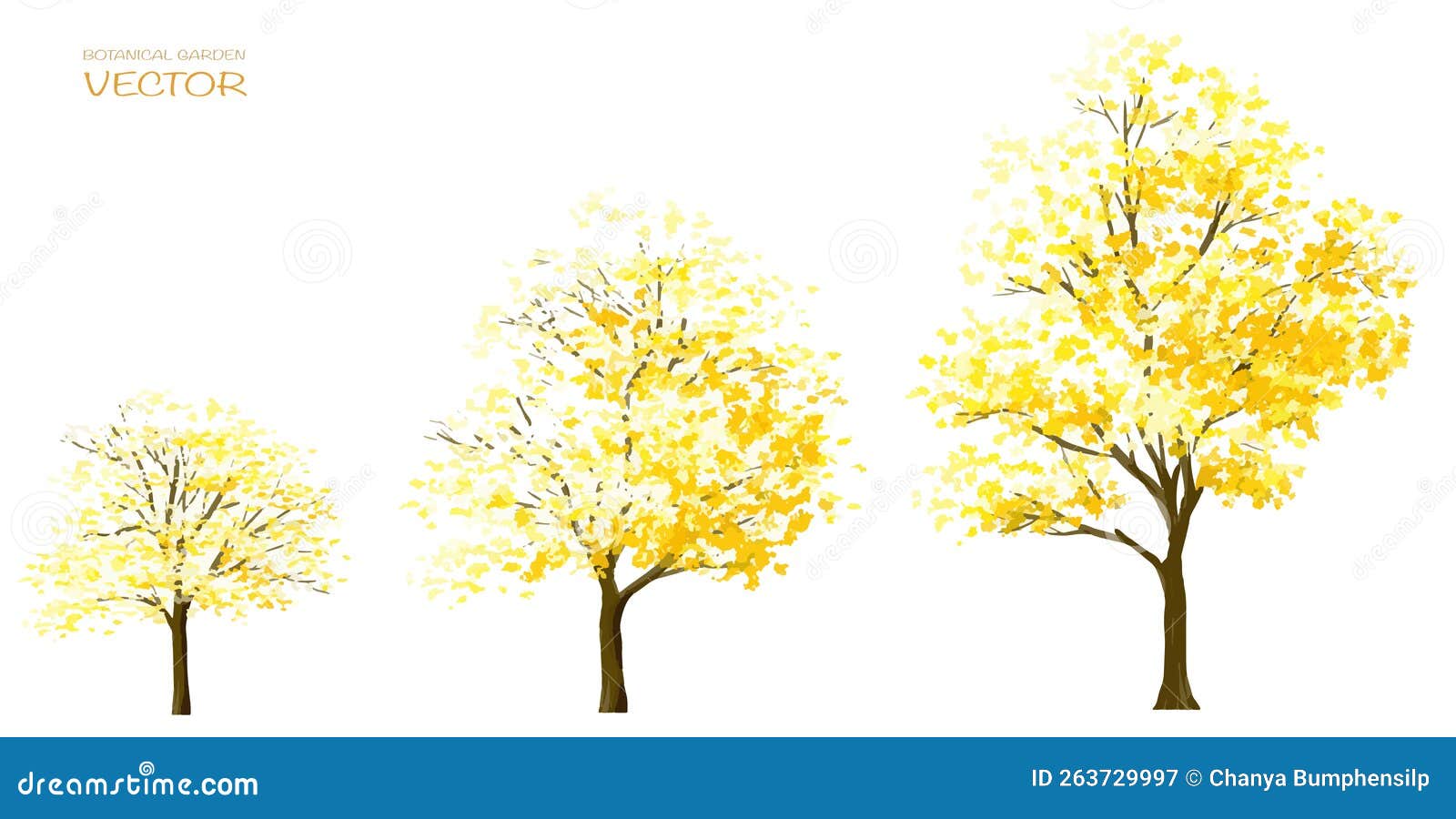 Vector Set of Flower Tree Side View Isolated on White Background for ...