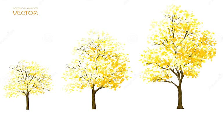 Vector Set of Flower Tree Side View Isolated on White Background for ...