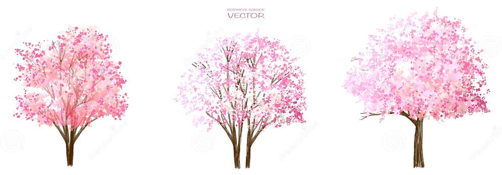 Vector Set of Flower Tree Side View Isolated on White Background for ...