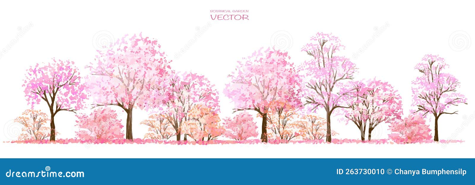 Vector Set of Flower Tree Side View Isolated on White Background for ...