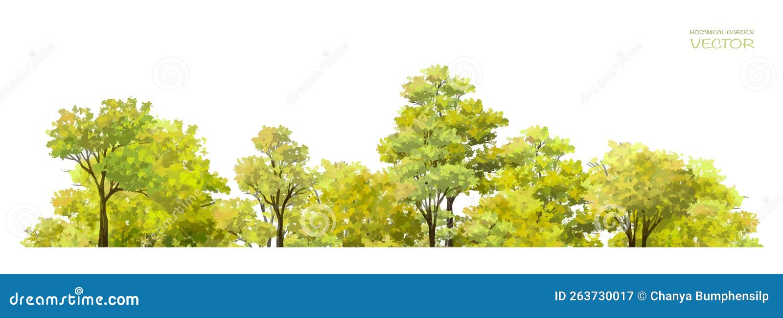 Vector Set of Flower Tree Side View Isolated on White Background for ...