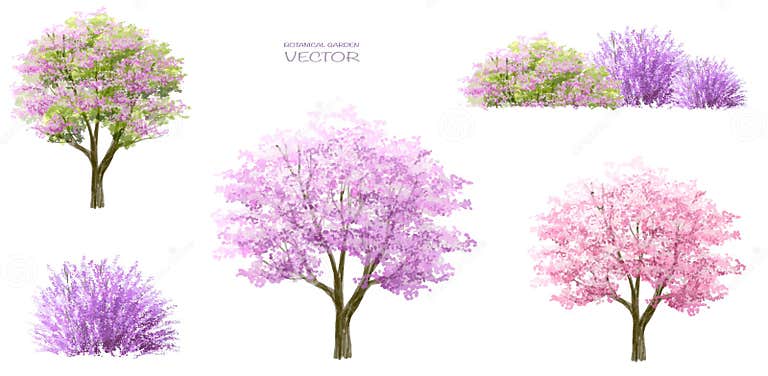 Vector Set of Flower Tree Side View Isolated on White Background for ...