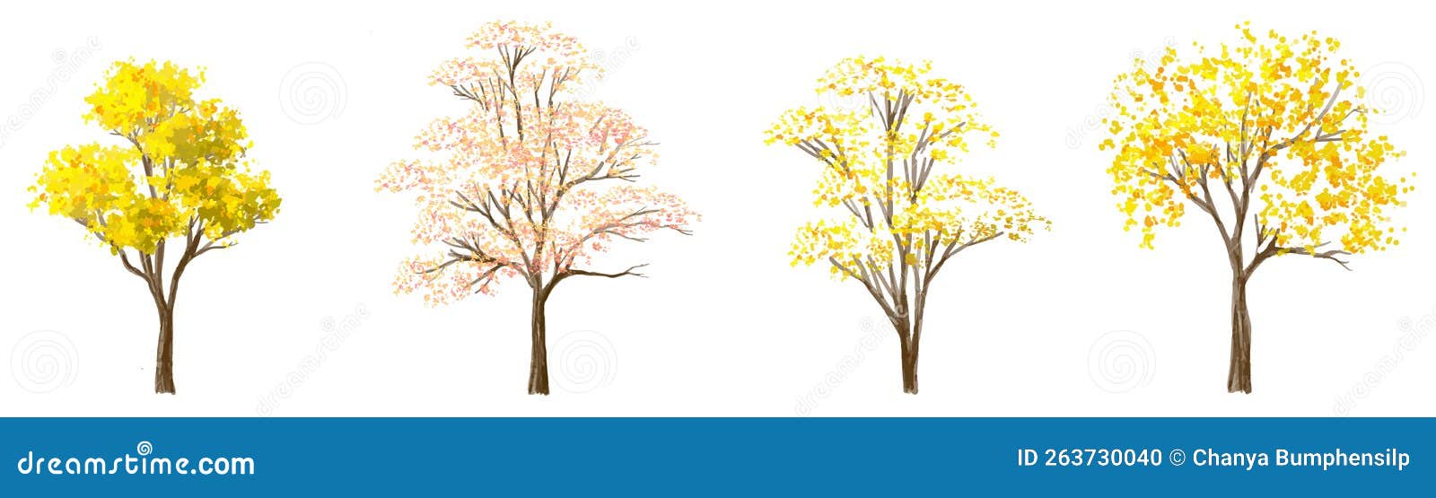 Vector Set of Flower Tree Side View Isolated on White Background for ...