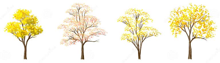 Vector Set of Flower Tree Side View Isolated on White Background for ...
