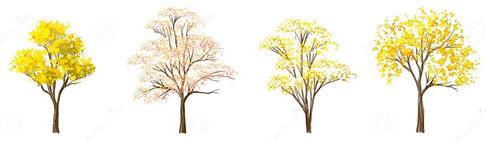 Vector Set of Flower Tree Side View Isolated on White Background for ...