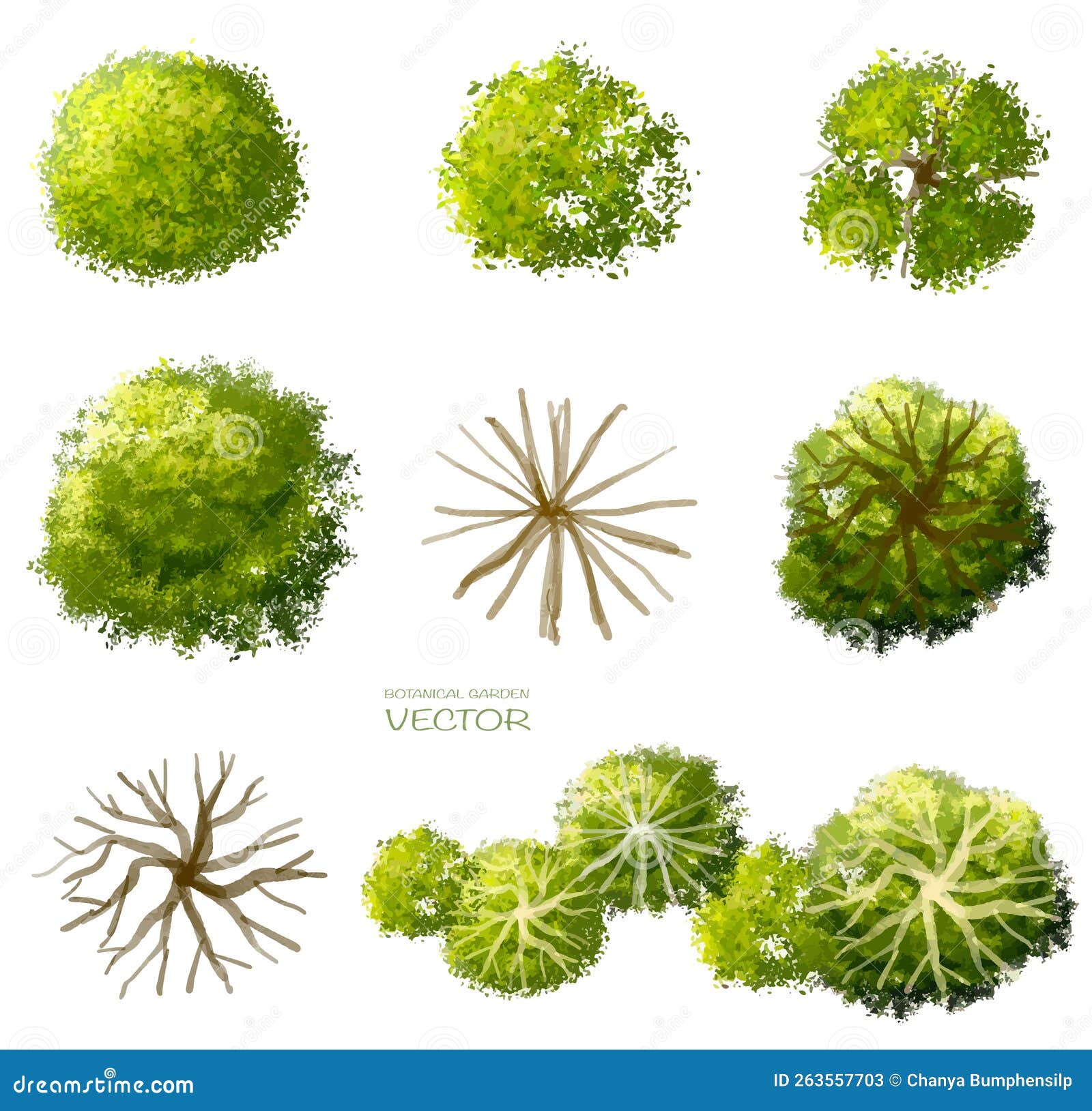 Vector Set of Flower Tree Top View Isolated on White Background for ...
