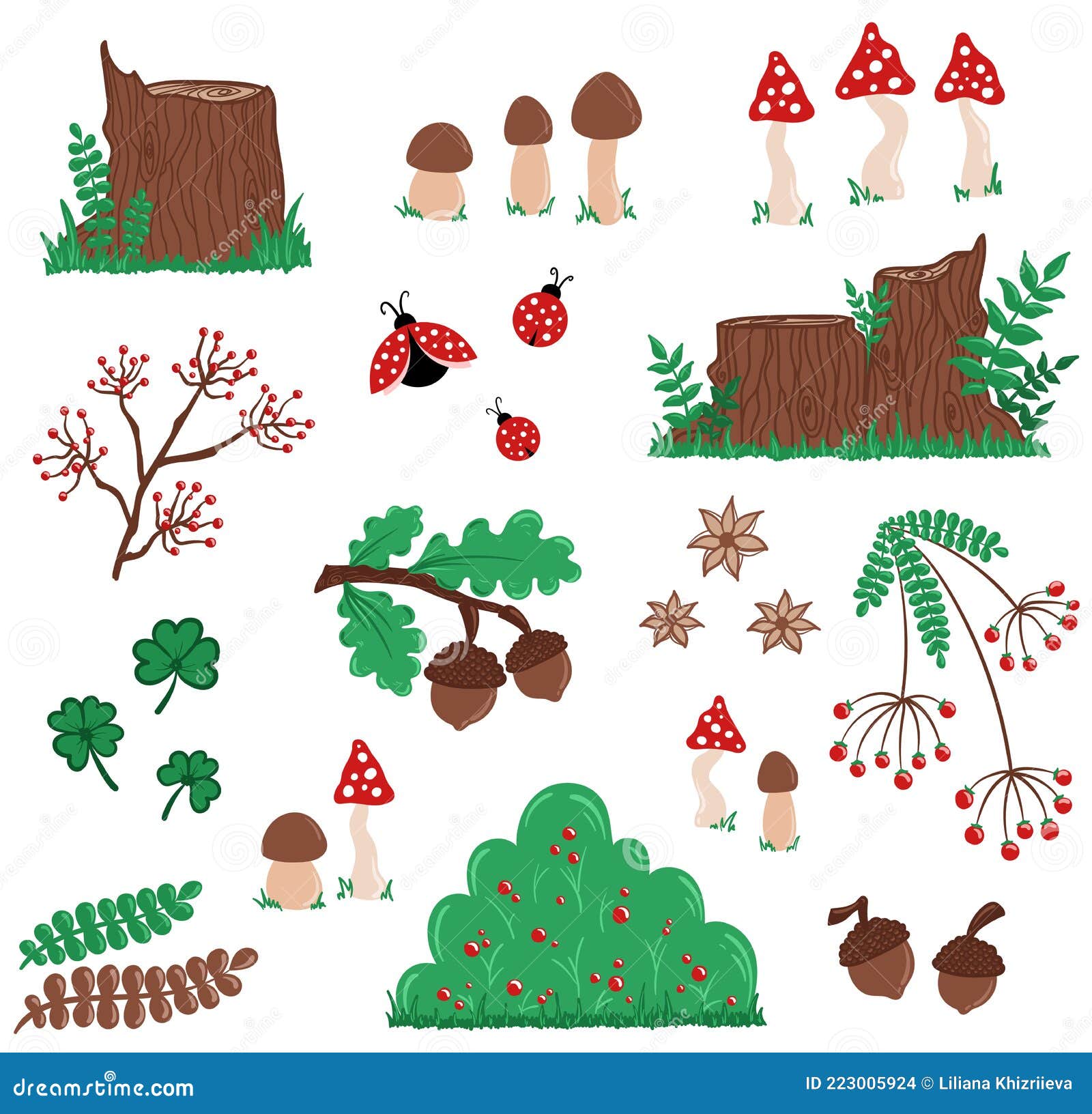 Vector Set of Forest Plants. Environment of the Forest. Stock Vector ...