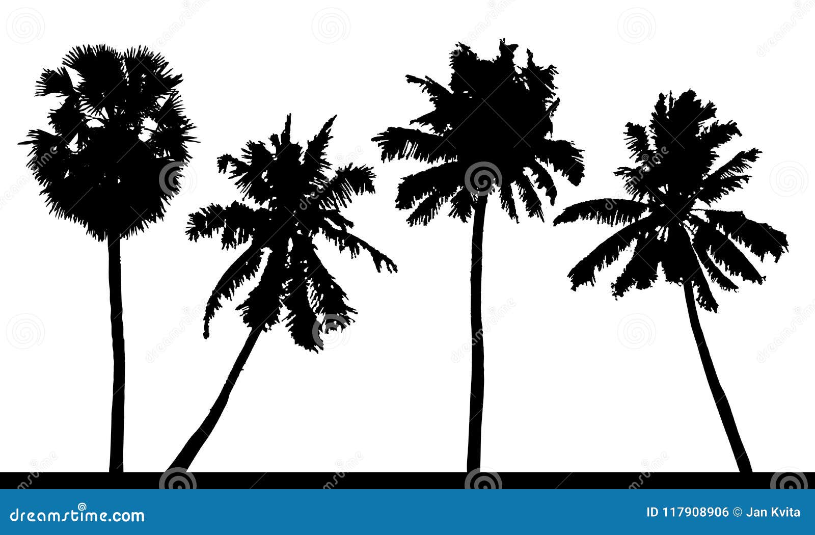 Vector Set of Detailed Tropical Palm Trees Silhouettes. Stock Vector ...