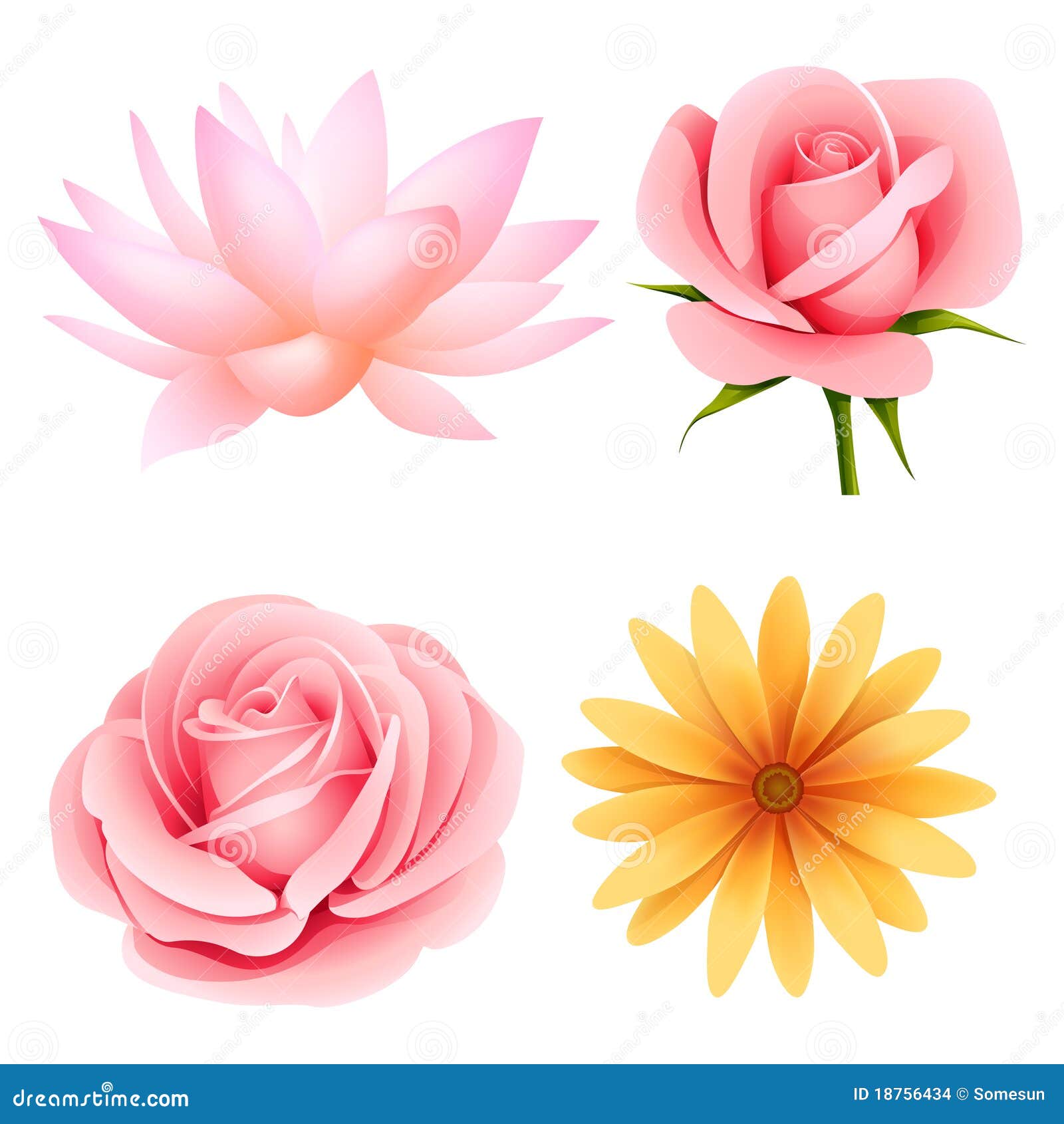 Vector Set of Four Flowers Isolated on White Stock Vector ...