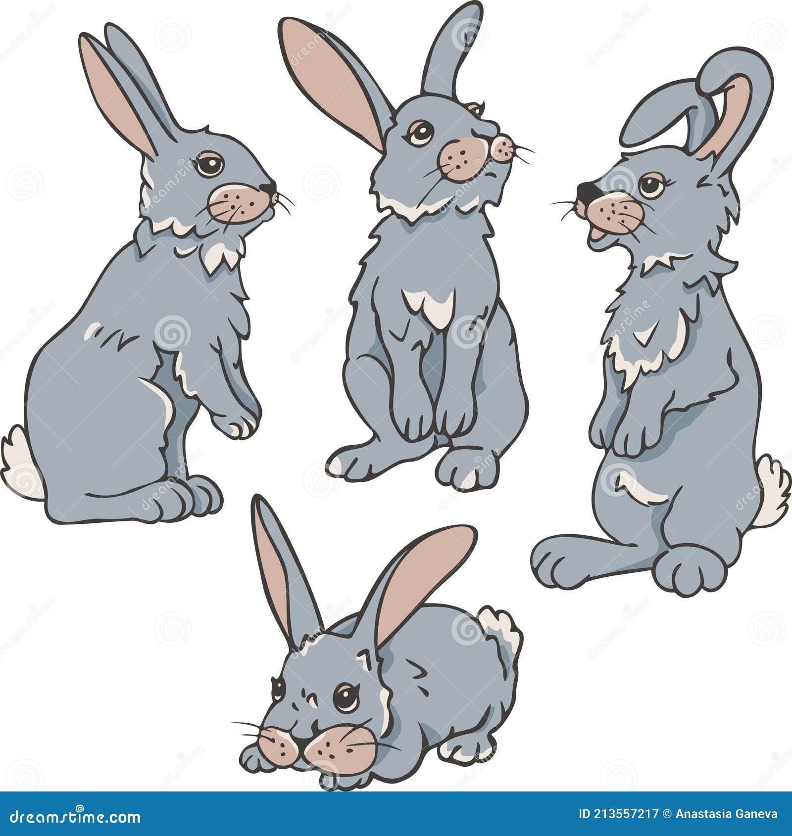 Vector Set of Four Rabbits in Different Postures. Stock Vector ...