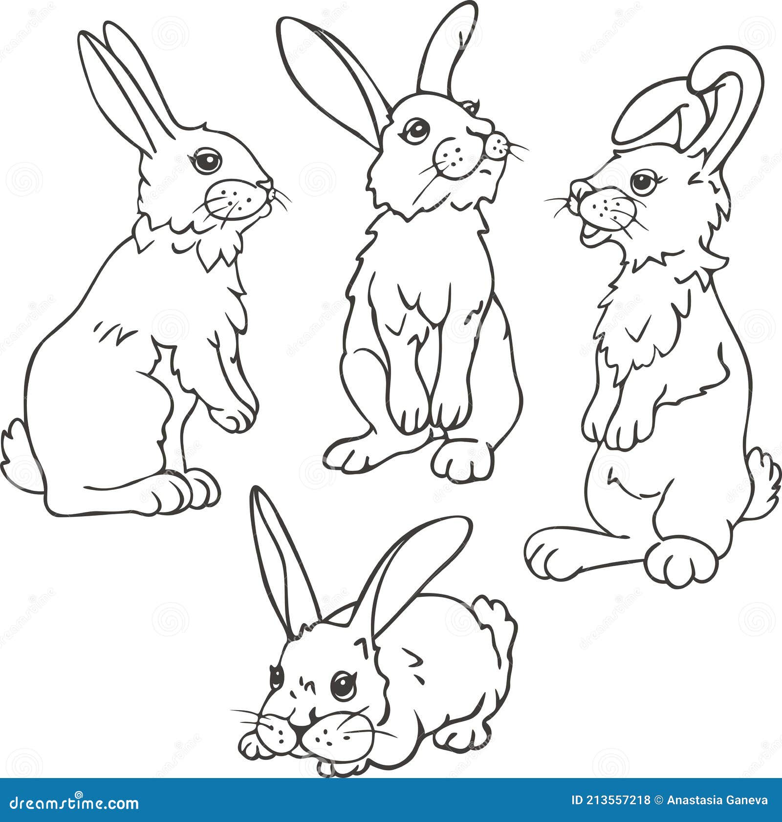 Vector Set of Four Rabbits in Different Postures. Stock Vector ...