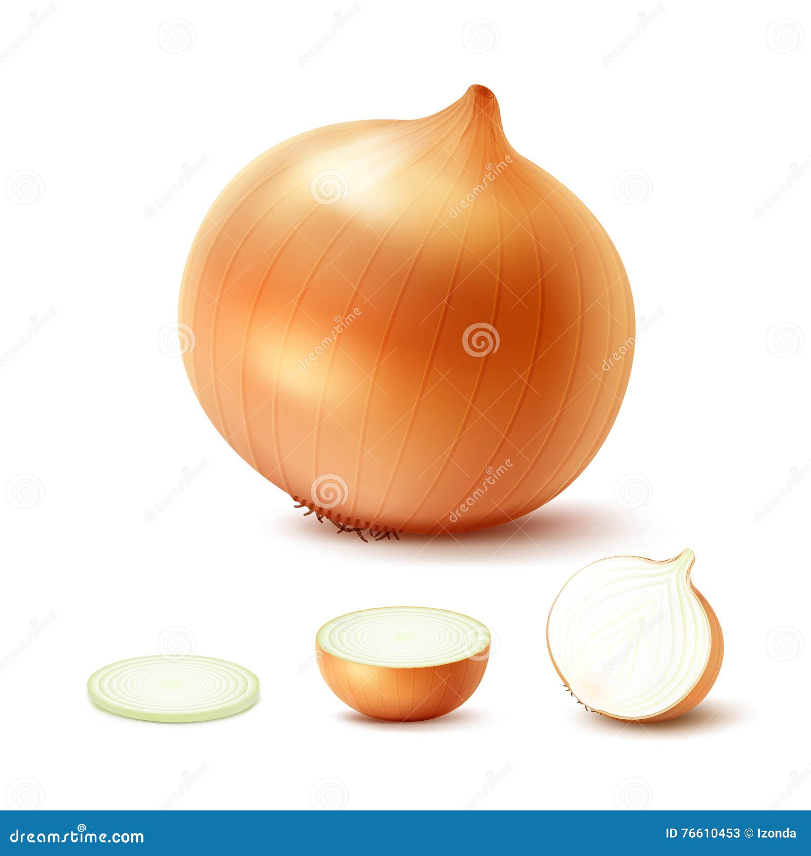 Vector Set of Fresh Whole and Sliced Yellow Onion Bulbs Stock Vector ...