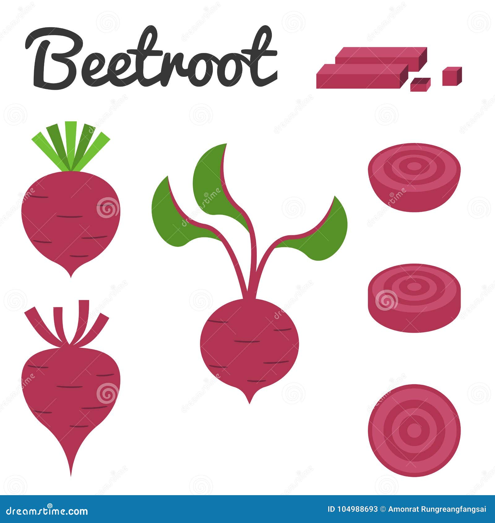 Beetroot icon set stock vector. Illustration of colorful - 104988693