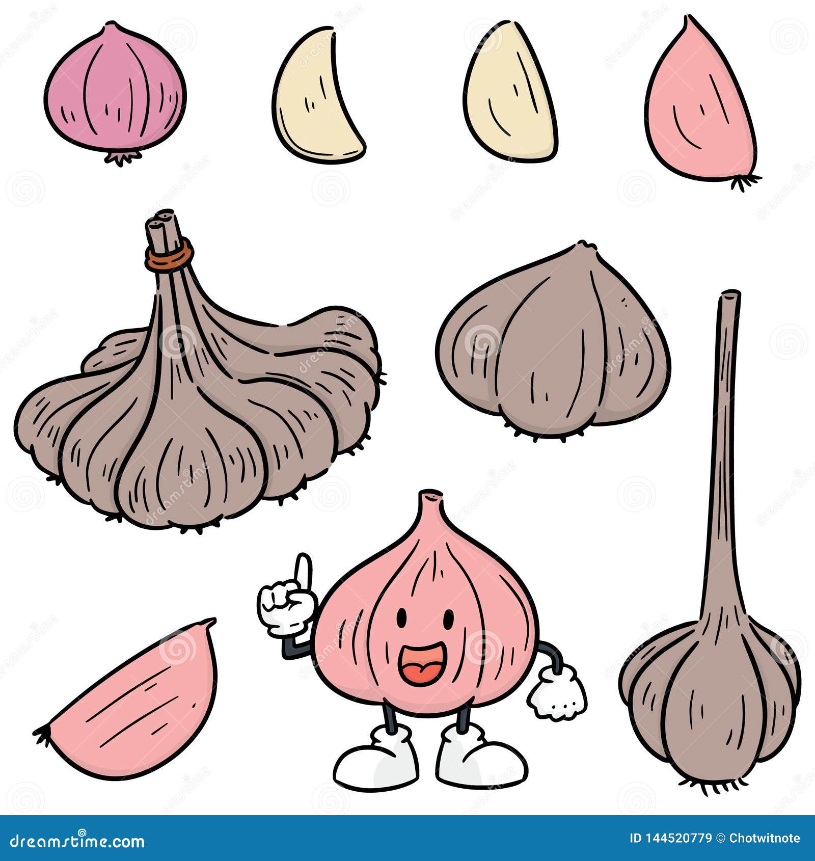 Vector set of garlic stock vector. Illustration of idea - 144520779