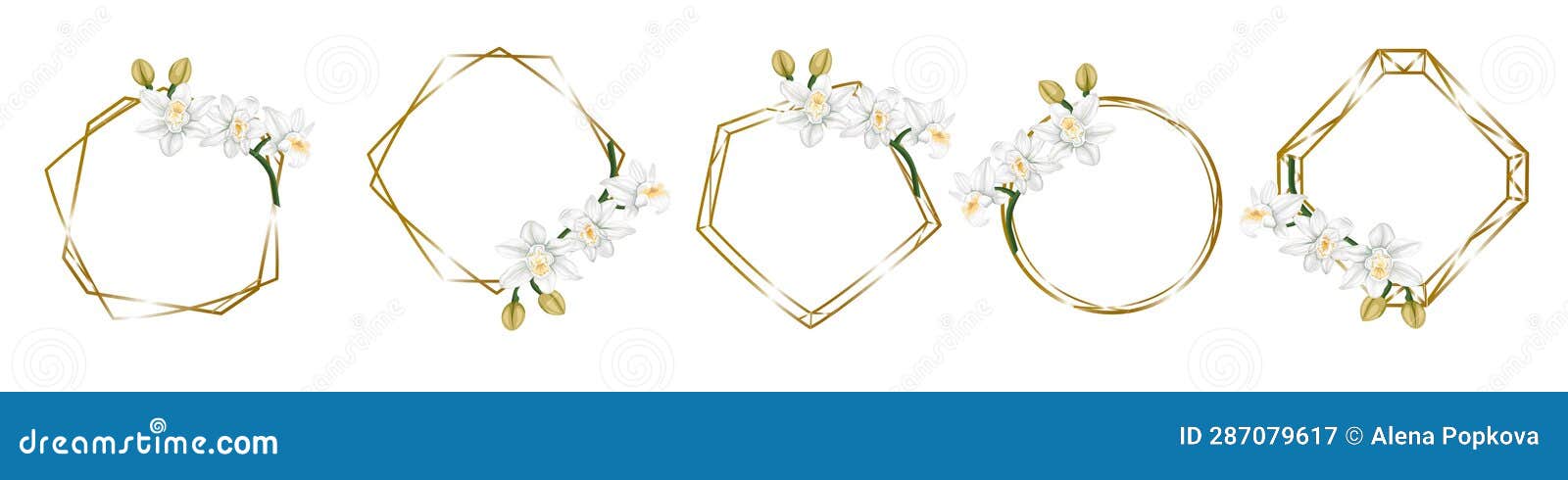 Vector Set of Gold Frames of Different Shapes and with White Orchid ...