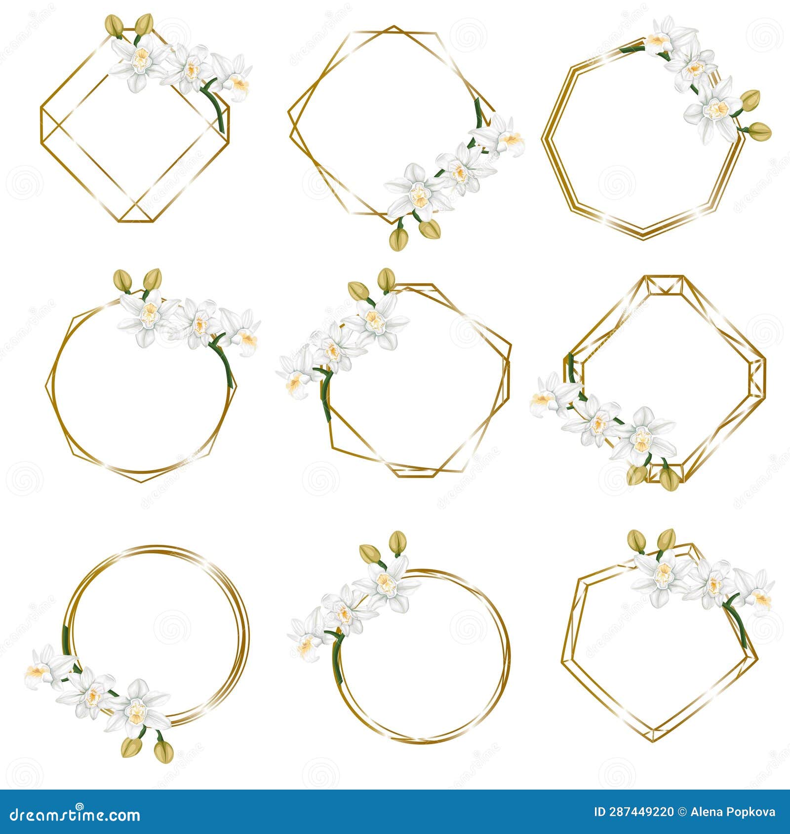 Vector Set of Gold Frames of Different Shapes and with White Orchid ...