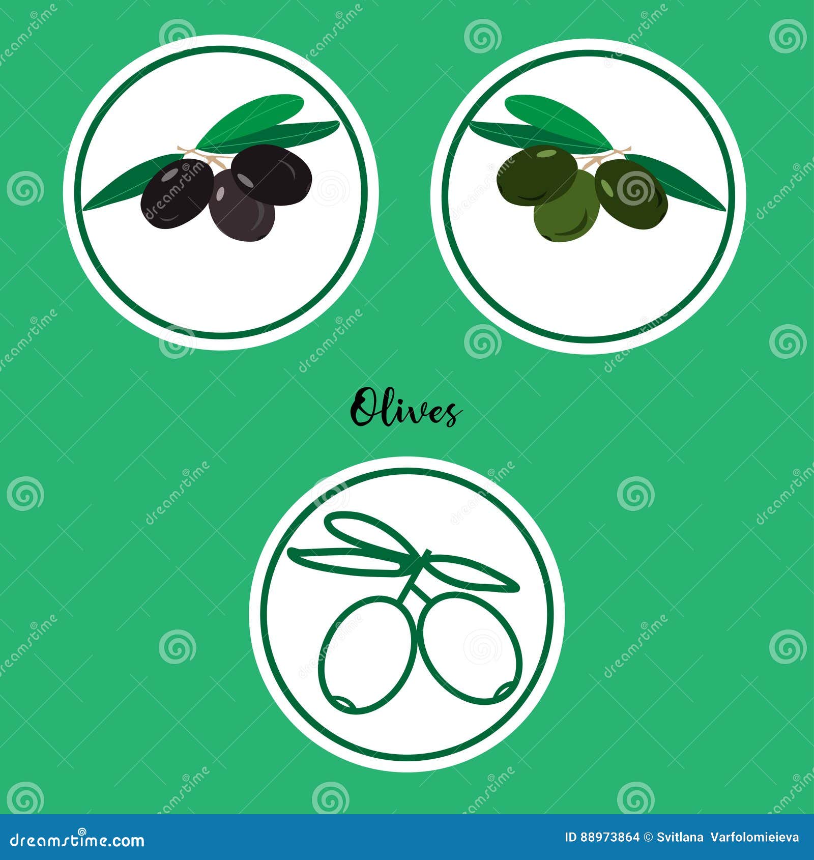 Vector Set of Green and Black Olive Icons in Flat Style Stock Vector ...